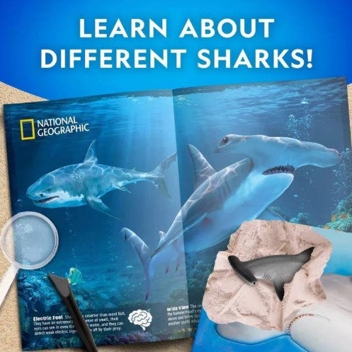 National Geographic: Shark Dig Kit | Paper Plus