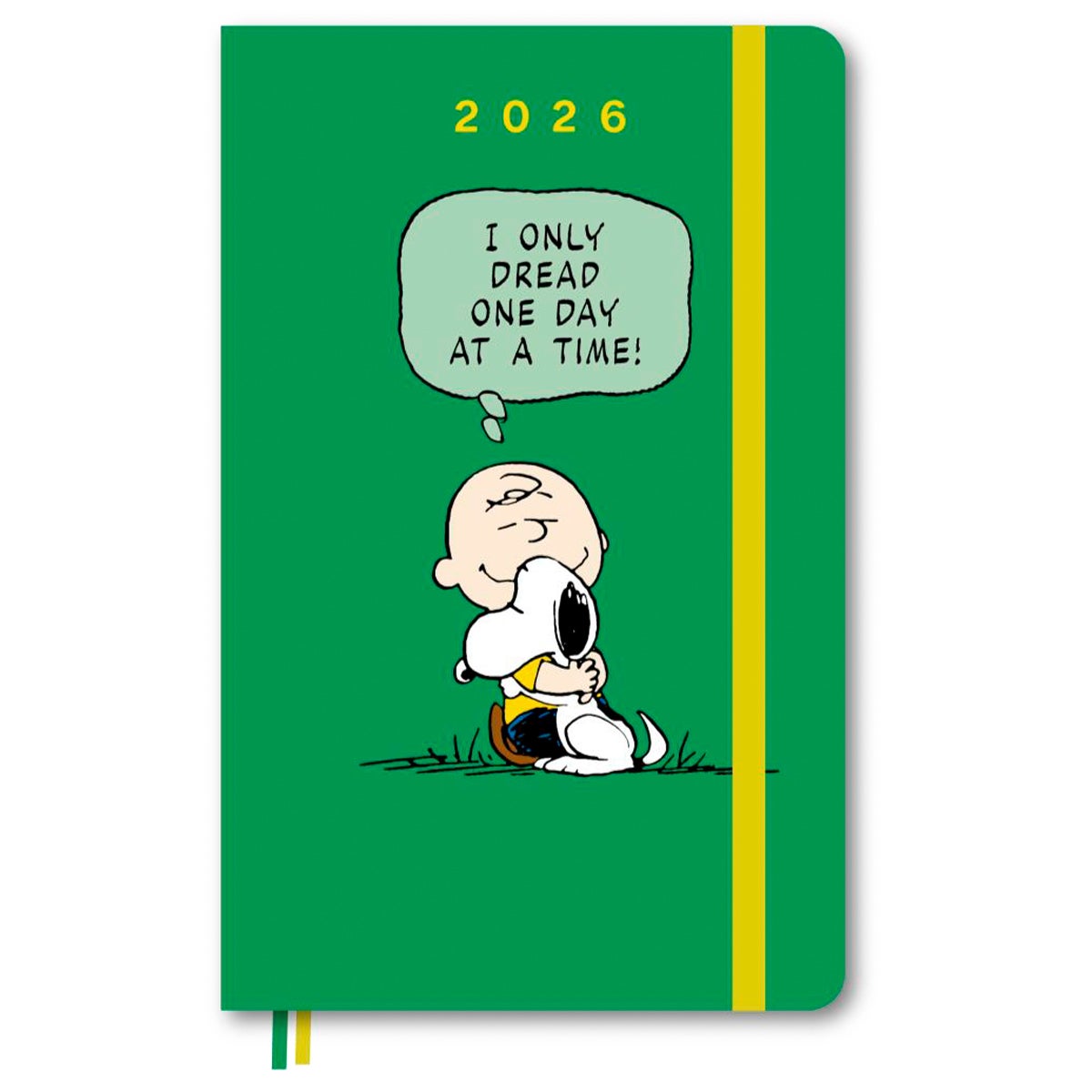 Moleskine Diary 12 Month Daily HC Large Peanuts Charlie & Snoopy Green ...