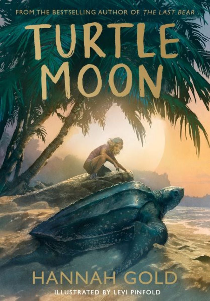 Turtle Moon by Hannah Gold, Levi Pinfold | Paper Plus