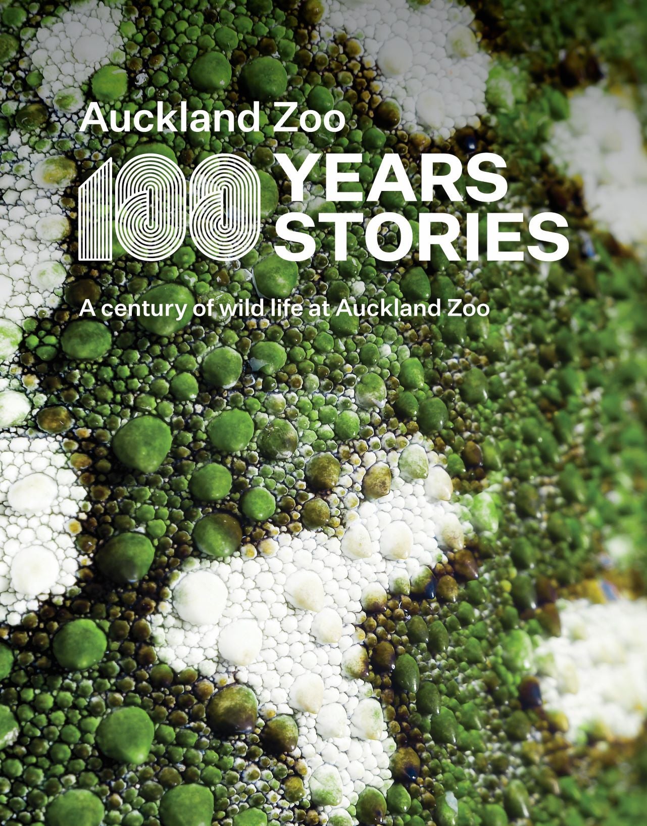 Auckland Zoo 100 Years 100 Stories by Sarah Ell | Paper Plus