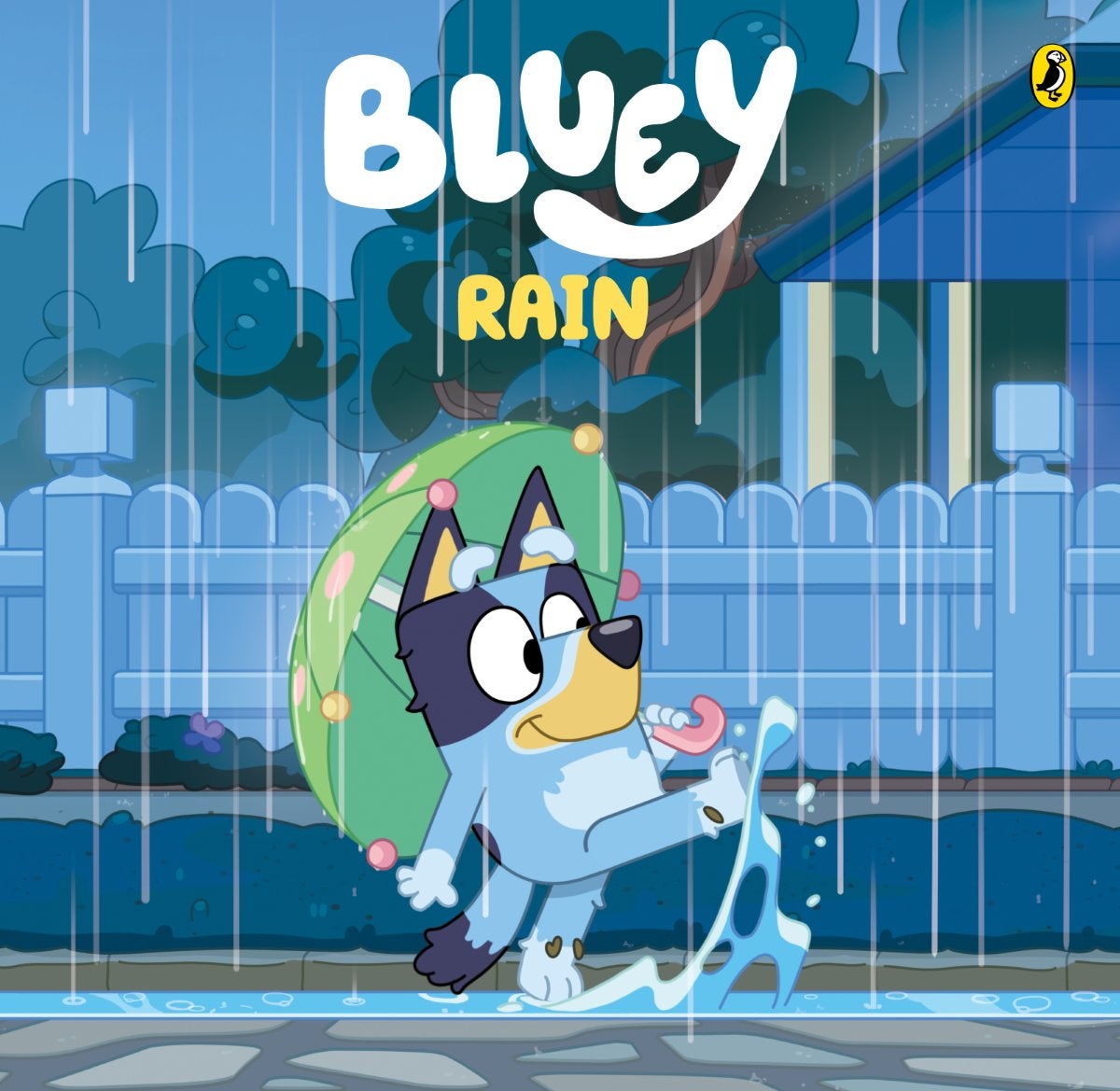 Bluey: Rain by Bluey | Paper Plus