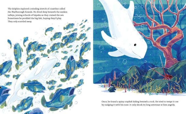 Pelorus Jack the Dolphin Guide by Susan Brocker | Paper Plus