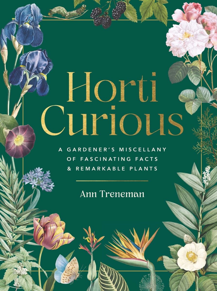 Horti-Curious by Ann Treneman | Paper Plus