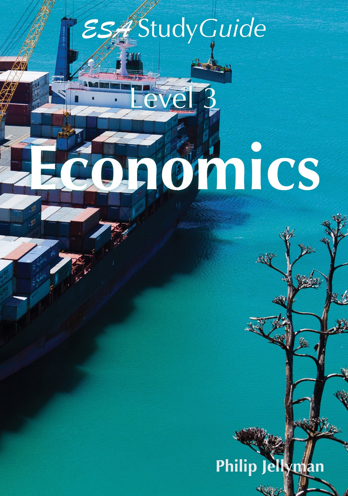Sg Ncea Level 3 Economics Study Guide by Philip Jellyman | Paper Plus