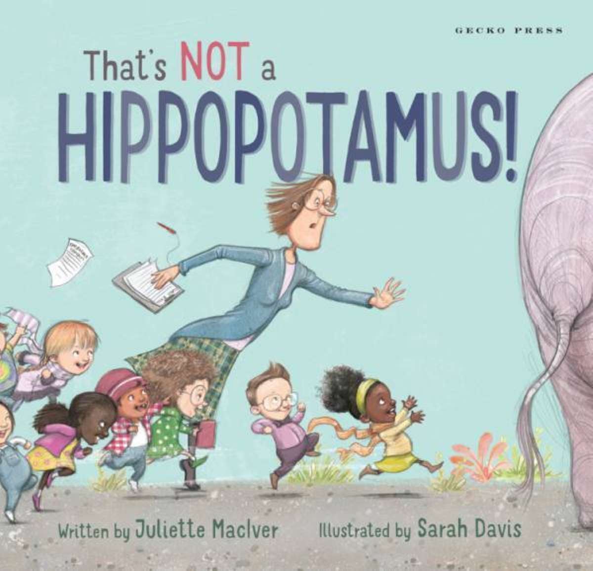 That's Not a Hippopotamus! by Juliette MacIver, Sarah Davis | Paper Plus