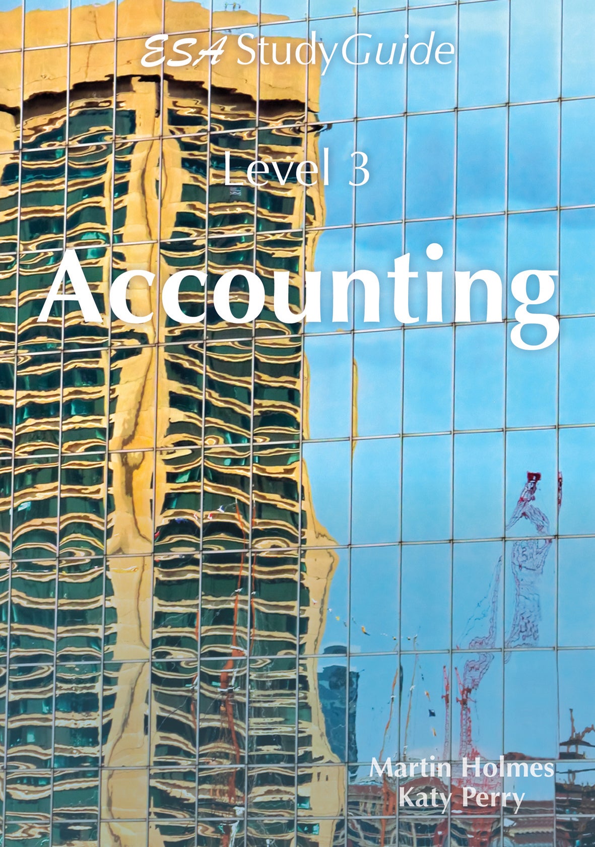 LearnWell ESA Accounting Study Guide Level 3 by Martin Holmes, Katy ...
