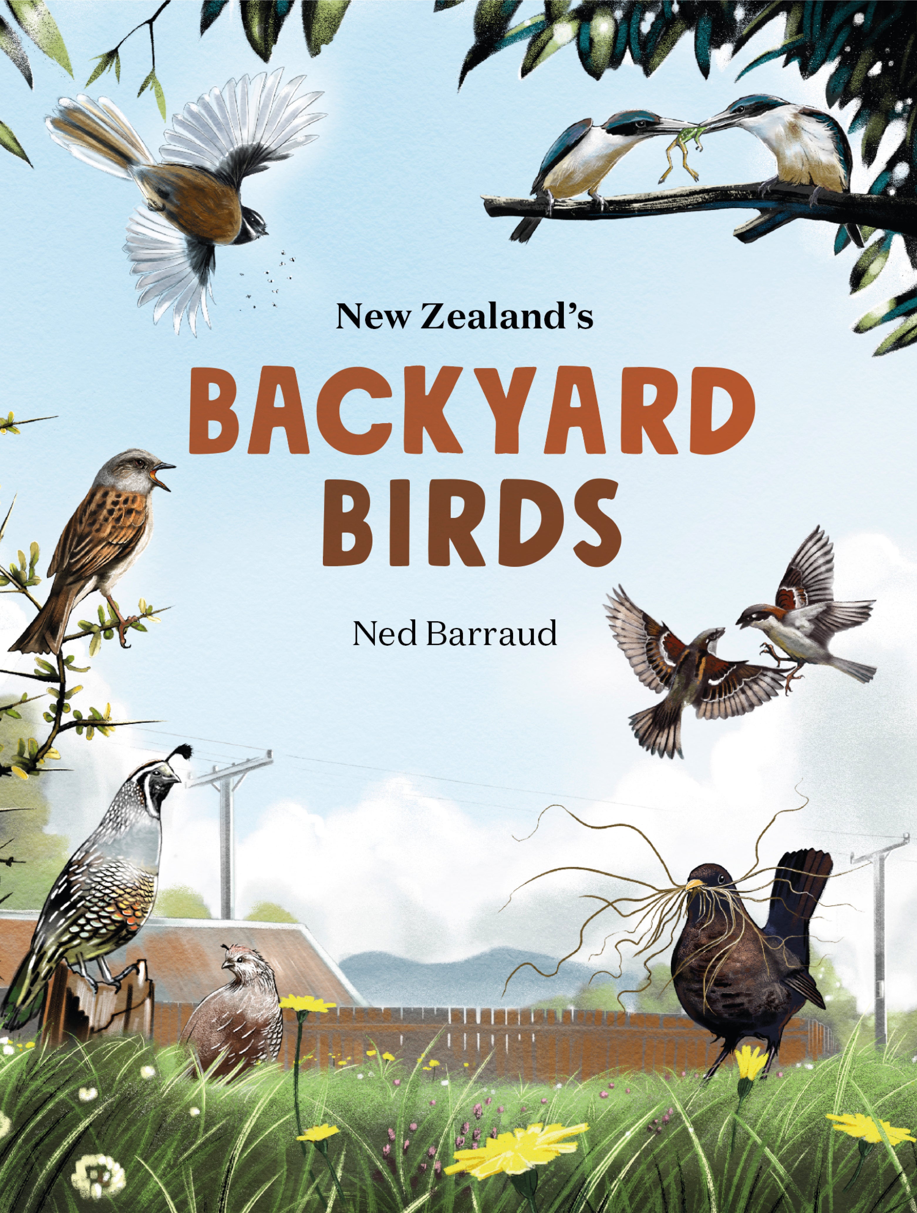 New Zealand's Backyard Birds by Ned Barraud | Paper Plus
