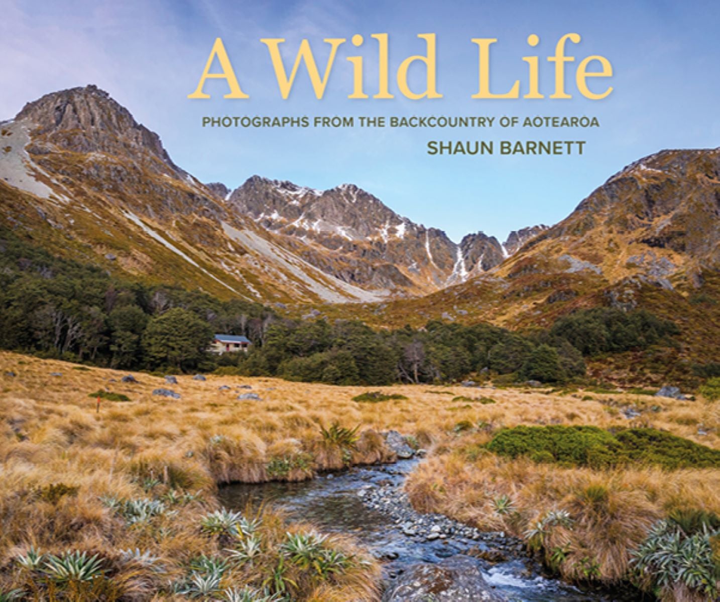 A Wild Life by Shaun Barnett | Paper Plus