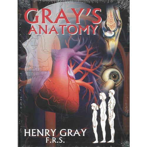 Gray's Anatomy by | Paper Plus